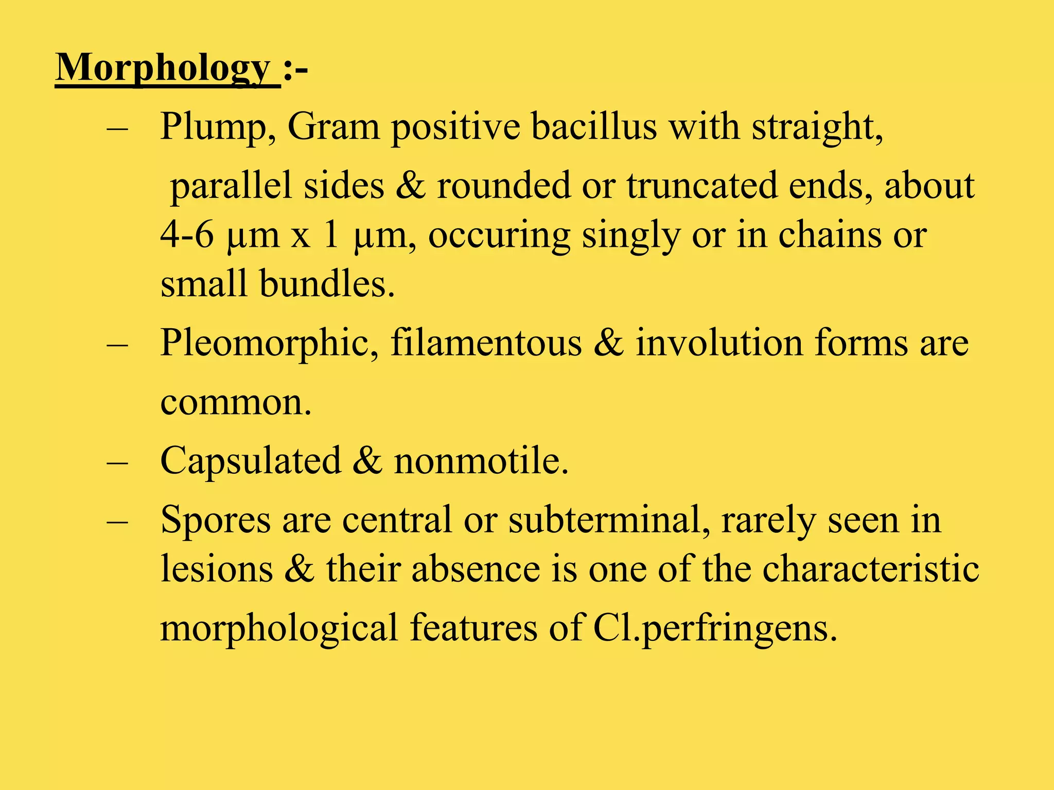 clostridium perfringens.ppt