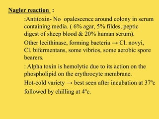 clostridium perfringens.ppt