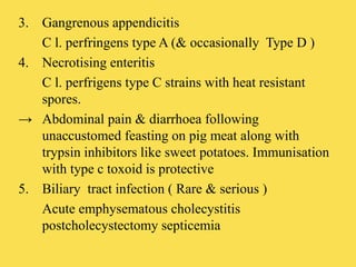 clostridium perfringens.ppt