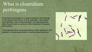 Clostridium perfringens - Microbiologypptx | PPTX
