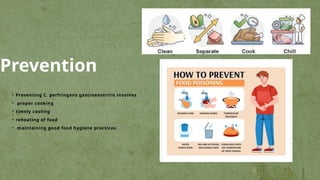 Clostridium perfringens - Microbiologypptx | PPTX