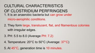 Clostridium Perfringens bacteria - A brief note | PPTX