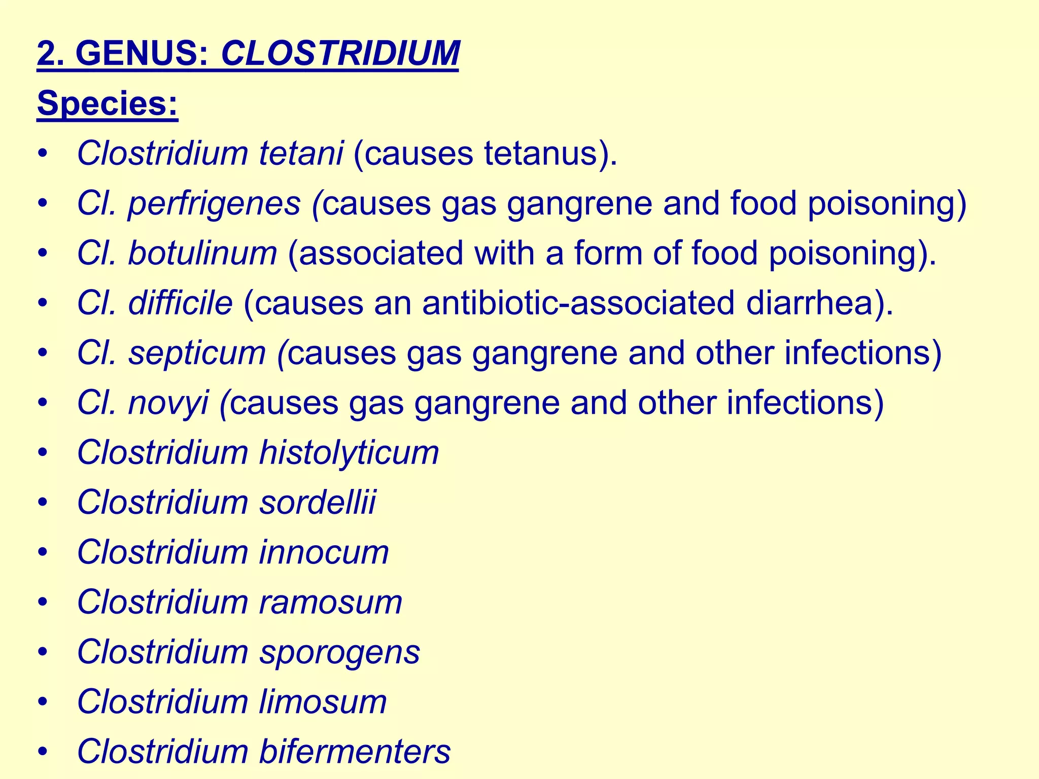 Clostridium microbacteria | PPT