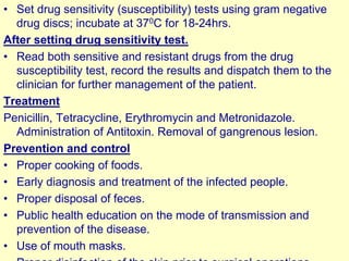 Clostridium microbacteria | PPT