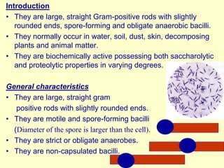 Clostridium microbacteria | PPT