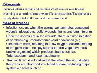 Clostridium microbacteria | PPT