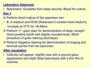 Clostridium microbacteria | PPT