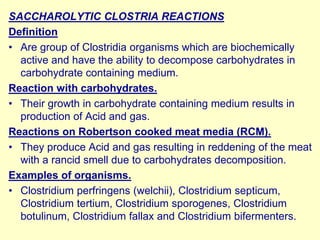 Clostridium microbacteria | PPT
