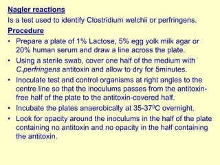 Clostridium microbacteria | PPT