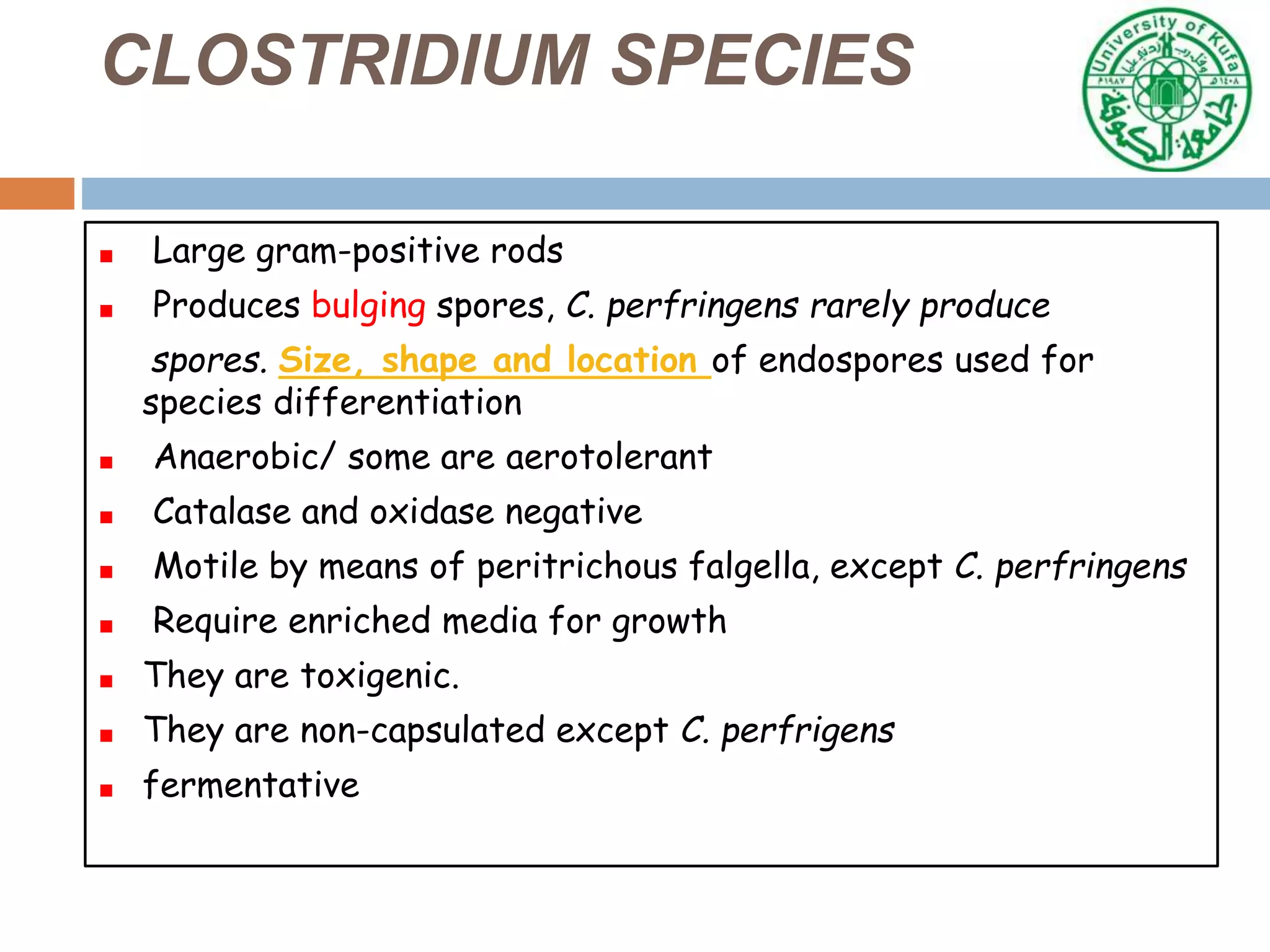 Veterinary important Clostridium species | PPTX