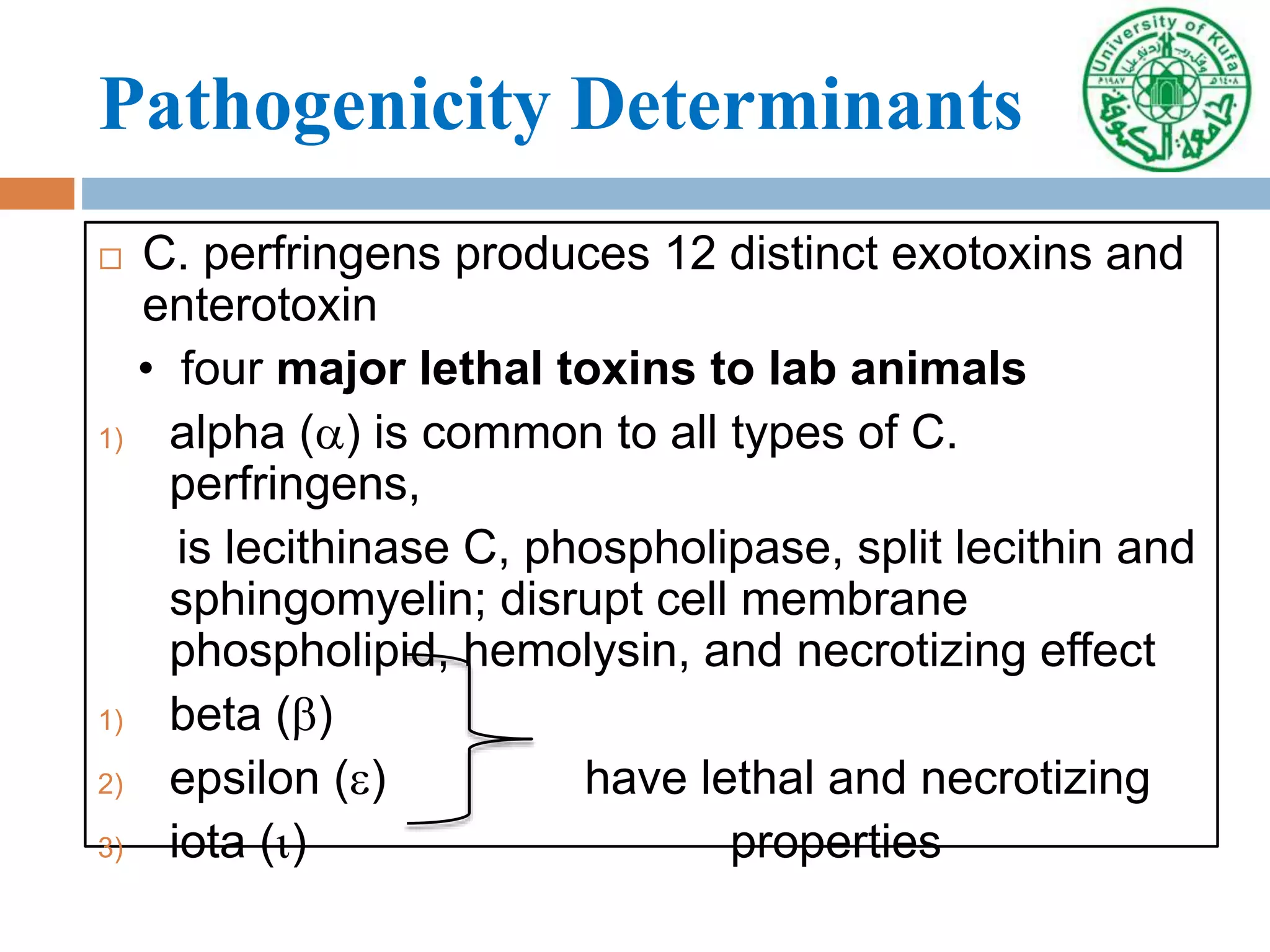 Veterinary important Clostridium species | PPTX