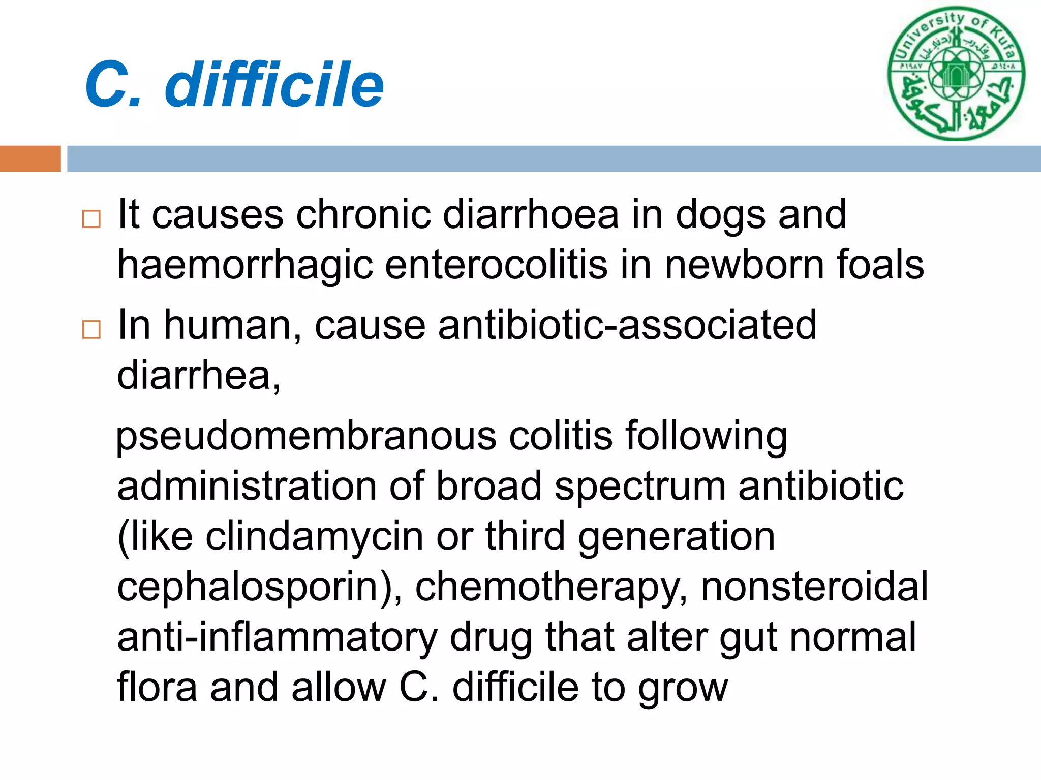 Veterinary important Clostridium species | PPTX