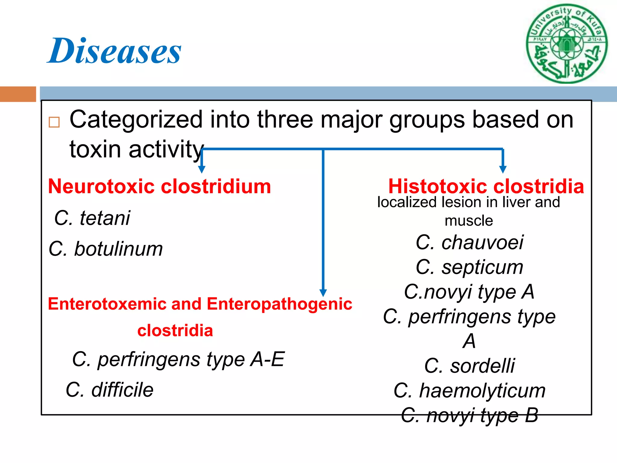 Veterinary important Clostridium species | PPTX