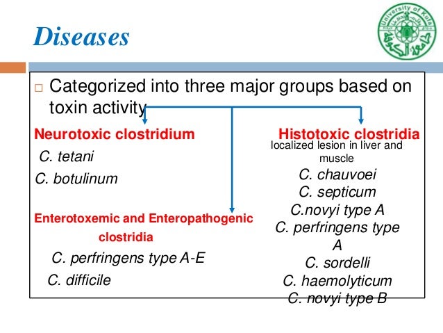 Veterinary important Clostridium species