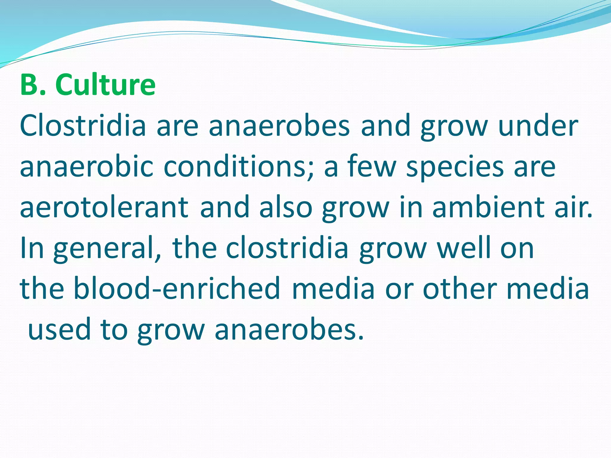 Clostridium species.pdf