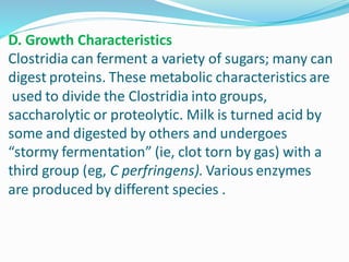 Clostridium species.pdf