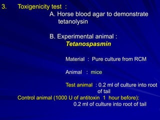 Clostridium spp..ppt