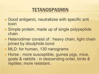 Clostridium tetani | PPTX