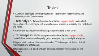 Clostridium tetani (Dental Microbiology) | PPT