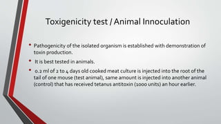 Clostridium tetani (Dental Microbiology) | PPT