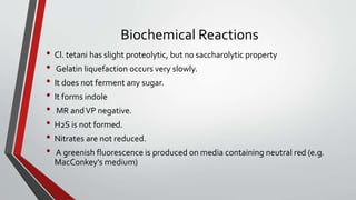 Clostridium tetani (Dental Microbiology) | PPT