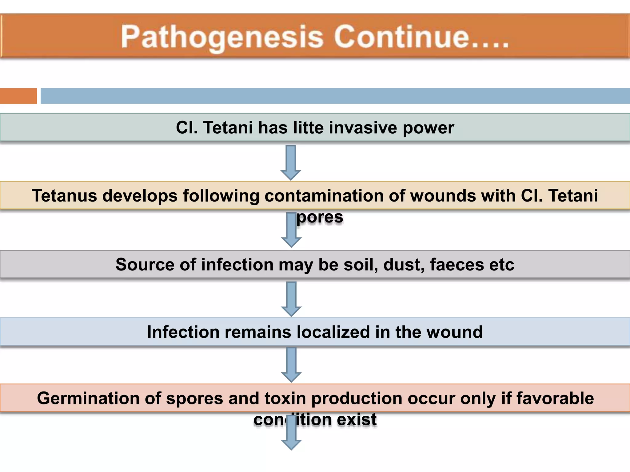 Clostridium tetani.pptx