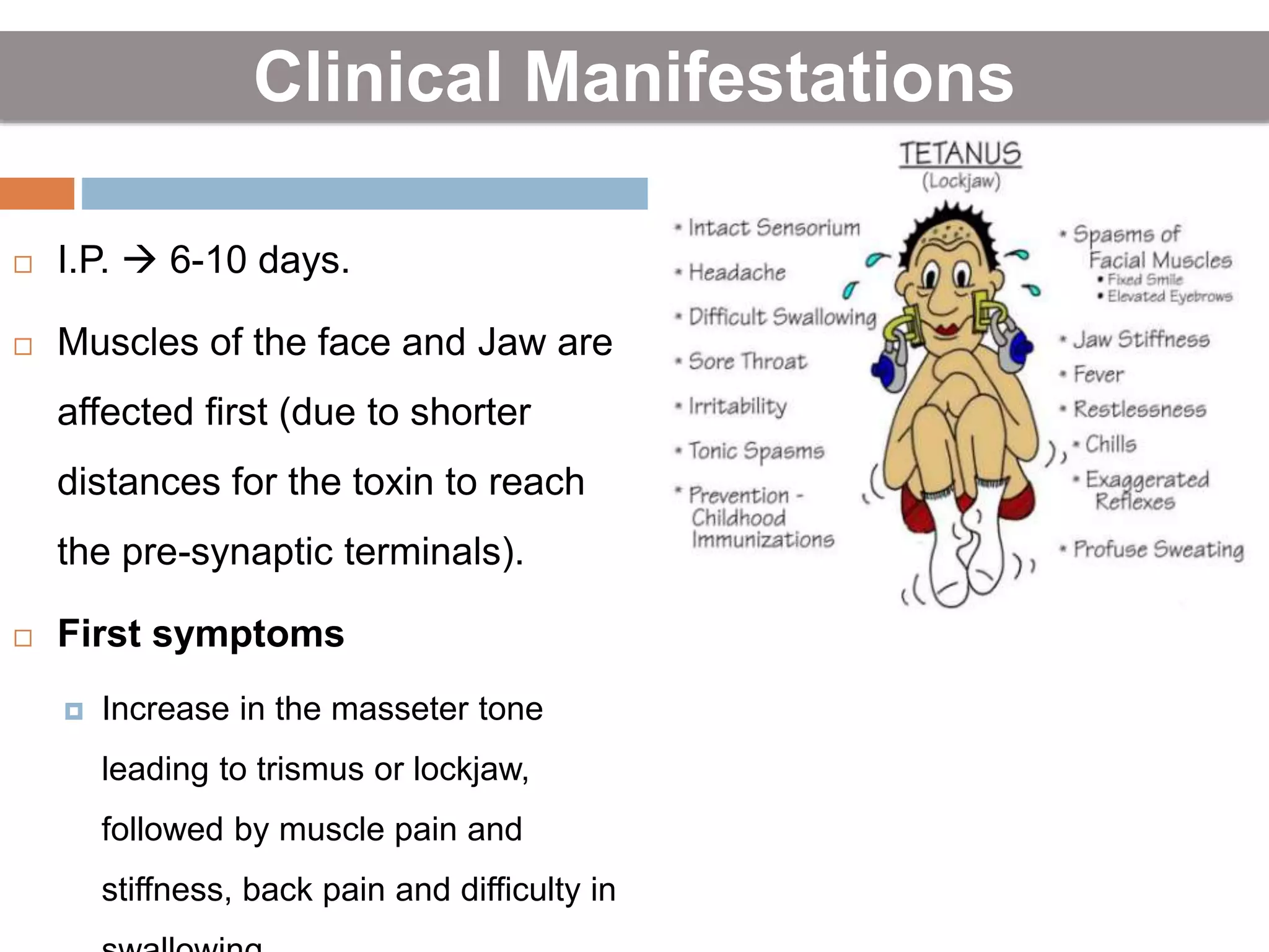 Clostridium tetani.pptx