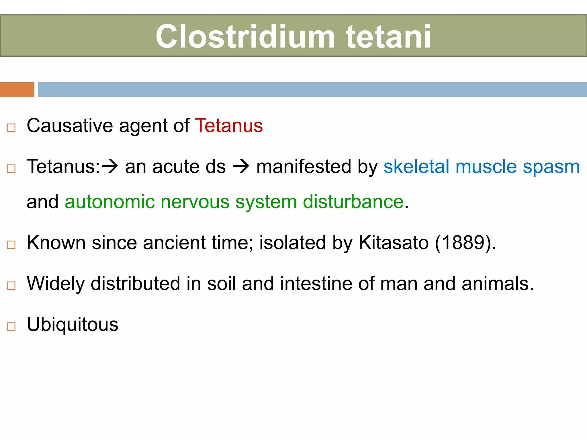 Clostridium tetani.pptx