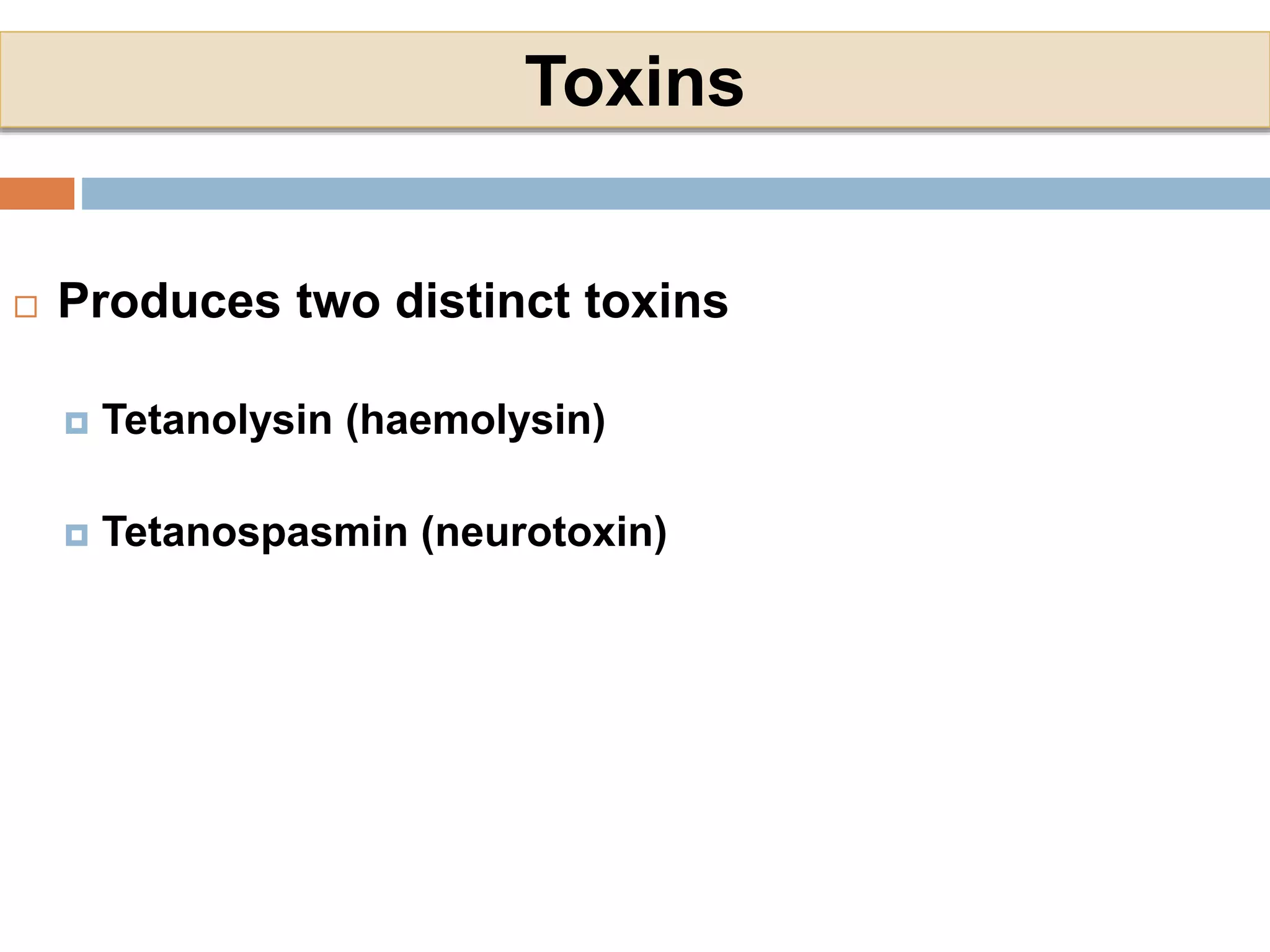 Clostridium tetani.pptx