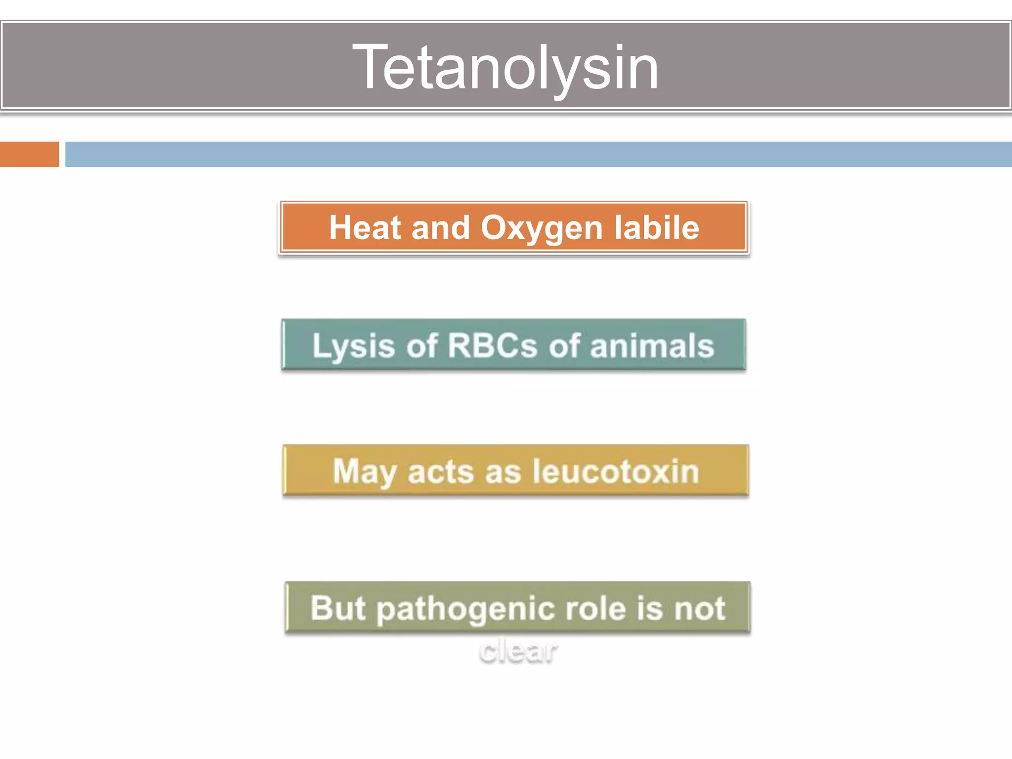 Clostridium tetani.pptx