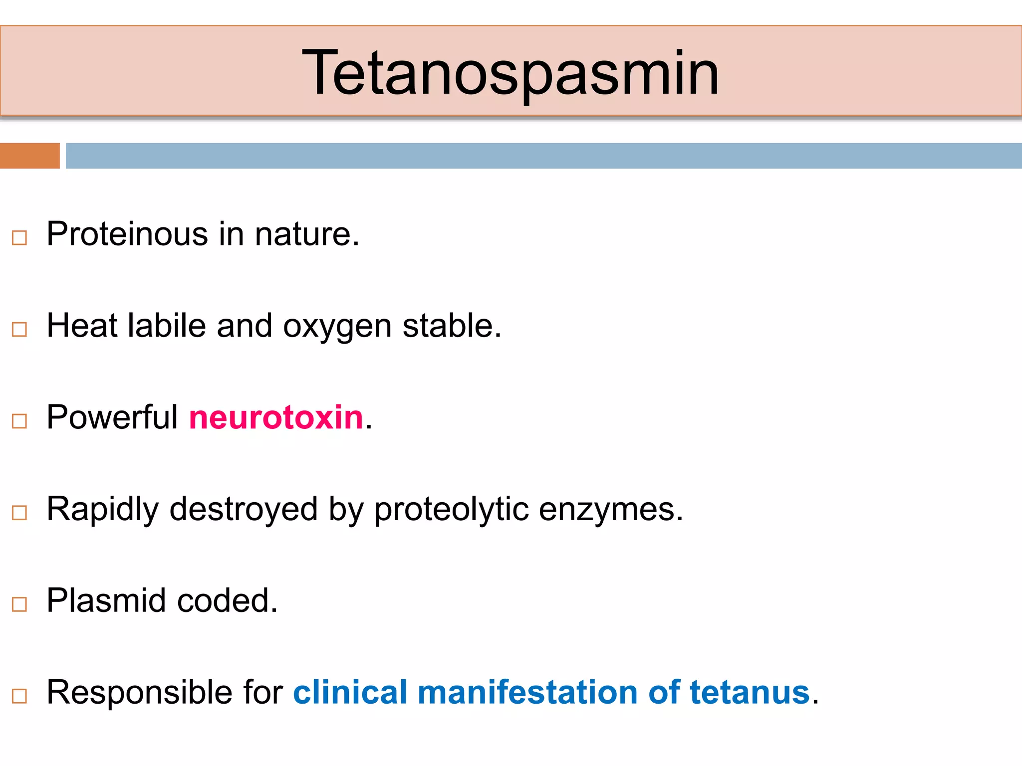 Clostridium tetani.pptx