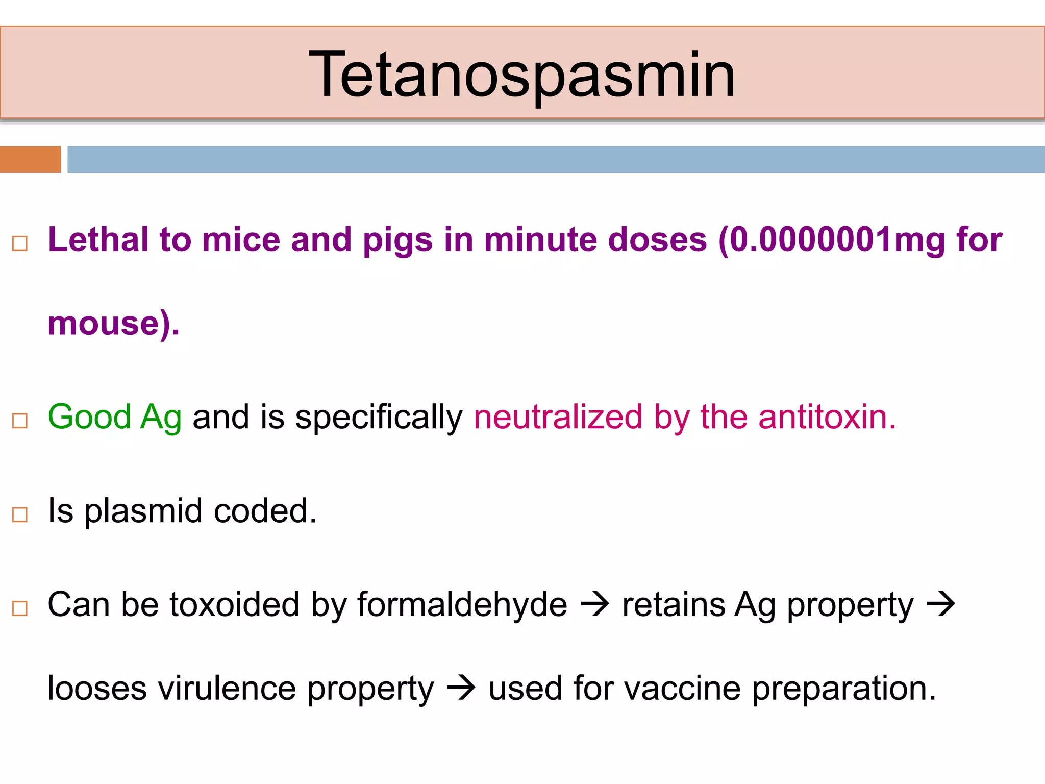 Clostridium tetani.pptx