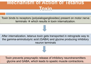 Clostridium tetani.pptx