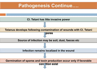 Clostridium tetani.pptx