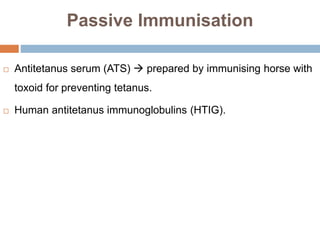 Clostridium tetani.pptx