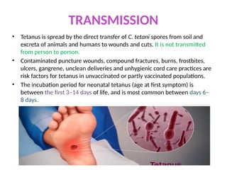 CLOSTRIDIUM TETANI Microbial disease.pptx