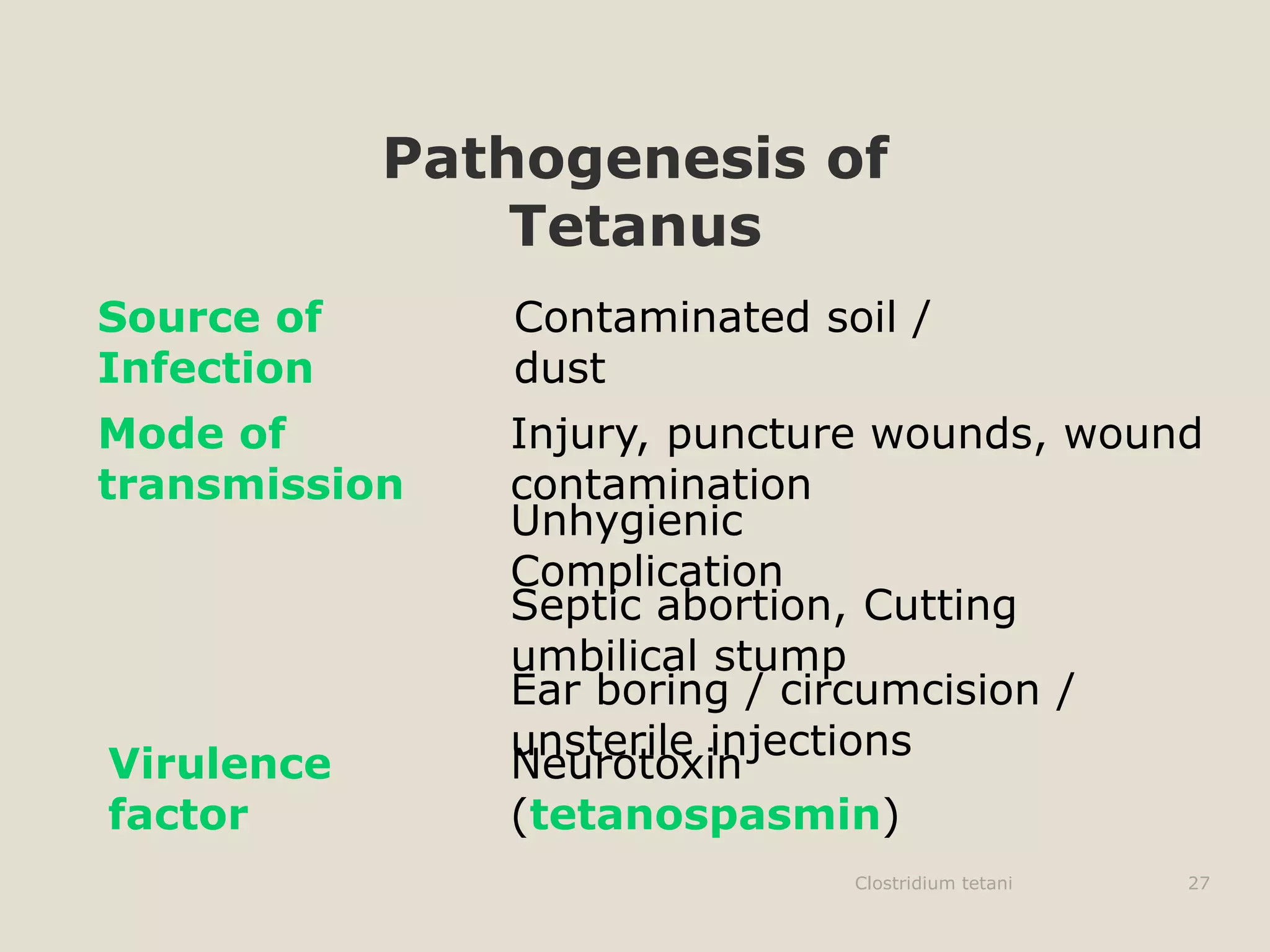 CLOSTRIDIUM TETANI FINAL - Copy.pptx