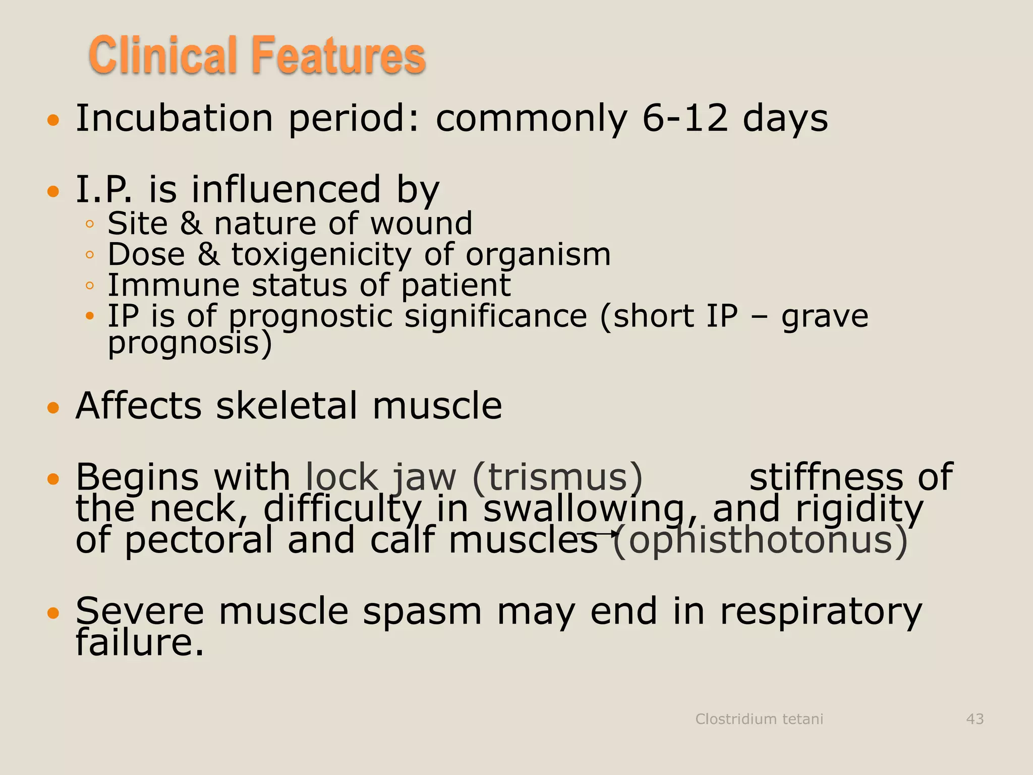 CLOSTRIDIUM TETANI FINAL - Copy.pptx