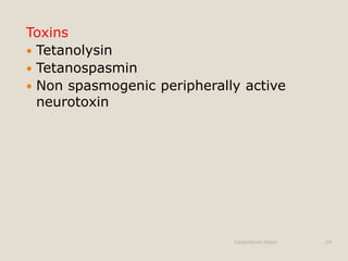 CLOSTRIDIUM TETANI FINAL - Copy.pptx