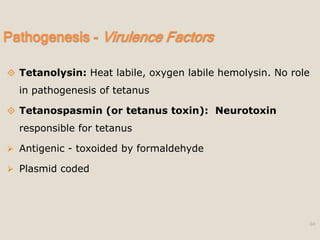 CLOSTRIDIUM TETANI FINAL - Copy.pptx