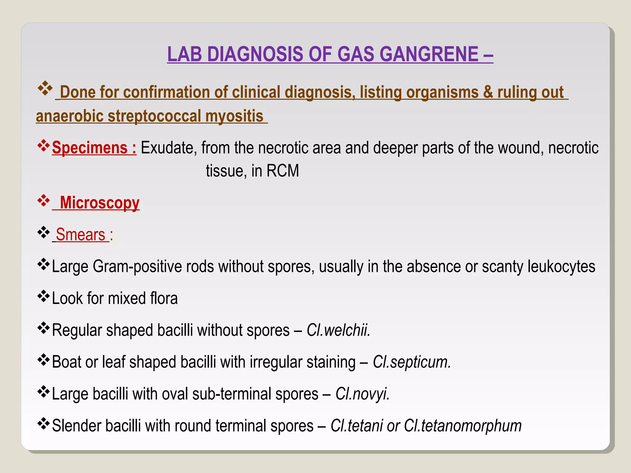 Clostridium species | PPT