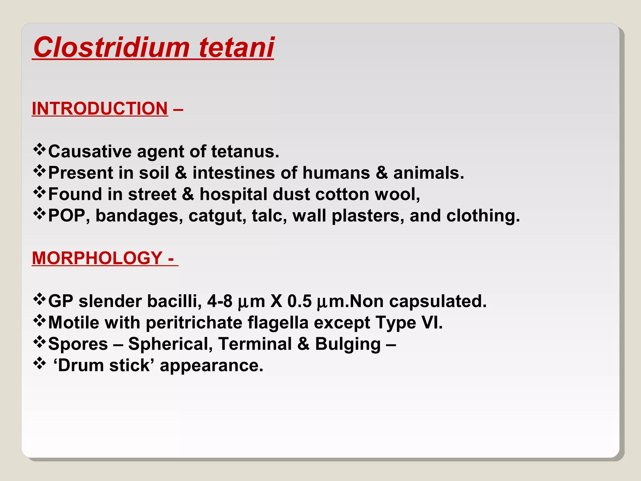 Clostridium species | PPT