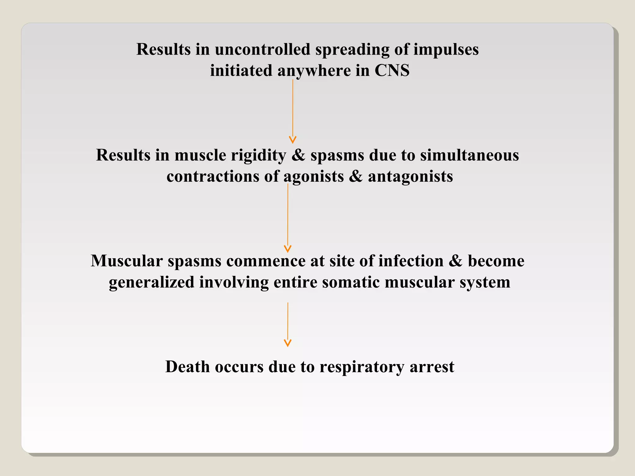 Clostridium species | PPT