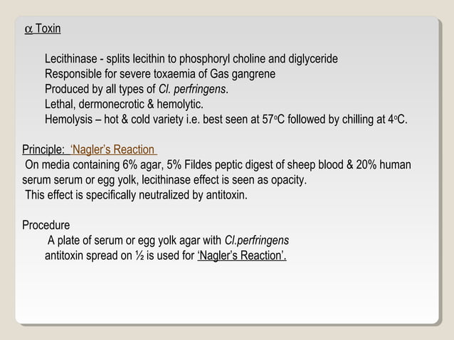 Clostridium species | PPT