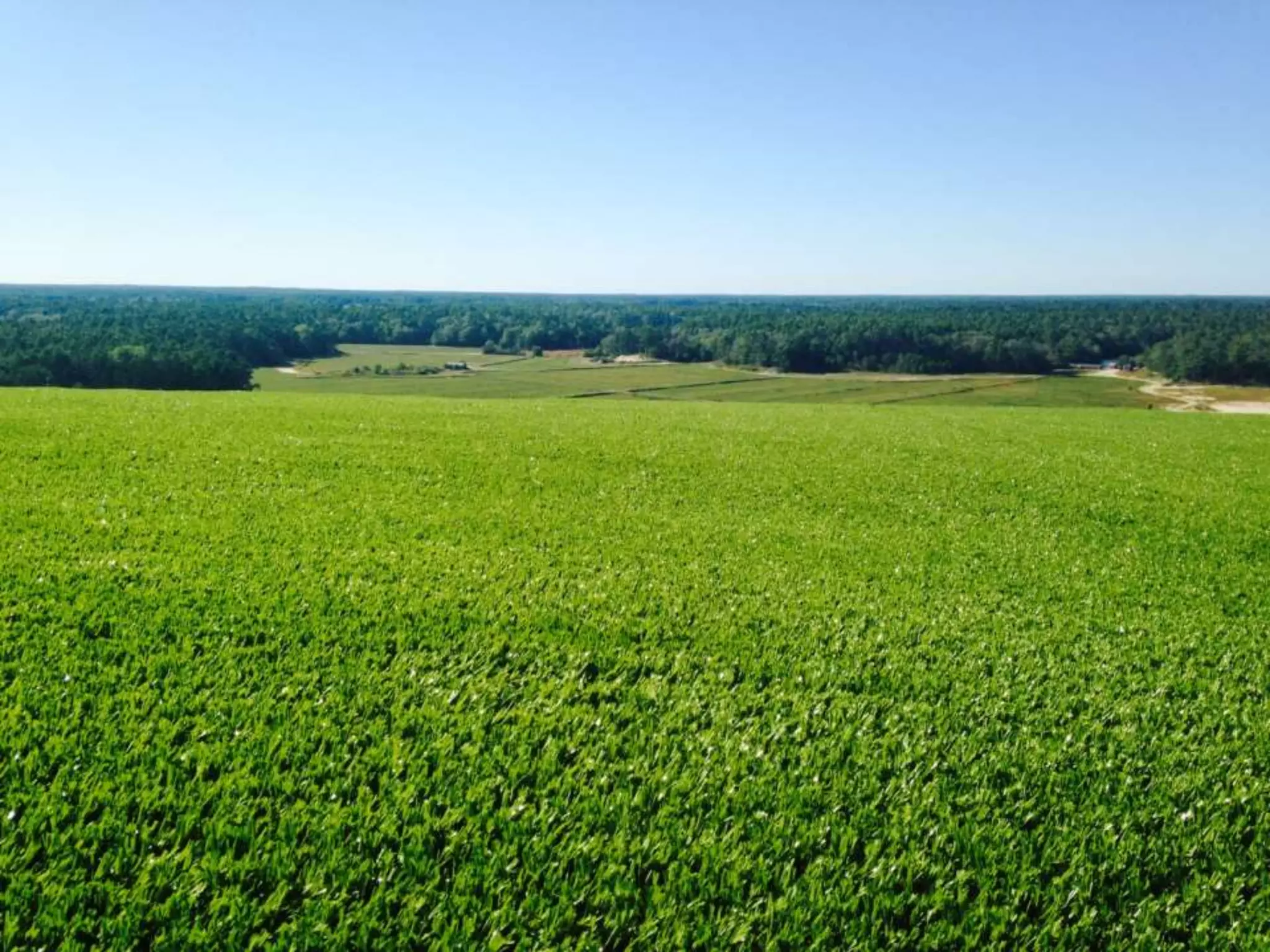 Ten of the Most Beautiful Landfills | PPTX