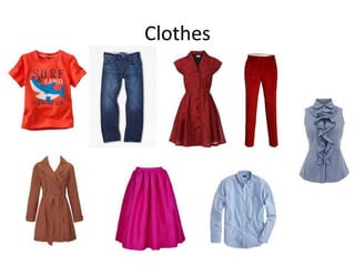 Clothes and Colours | PPTX
