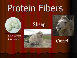 Fibers and Fabrics | PPTX