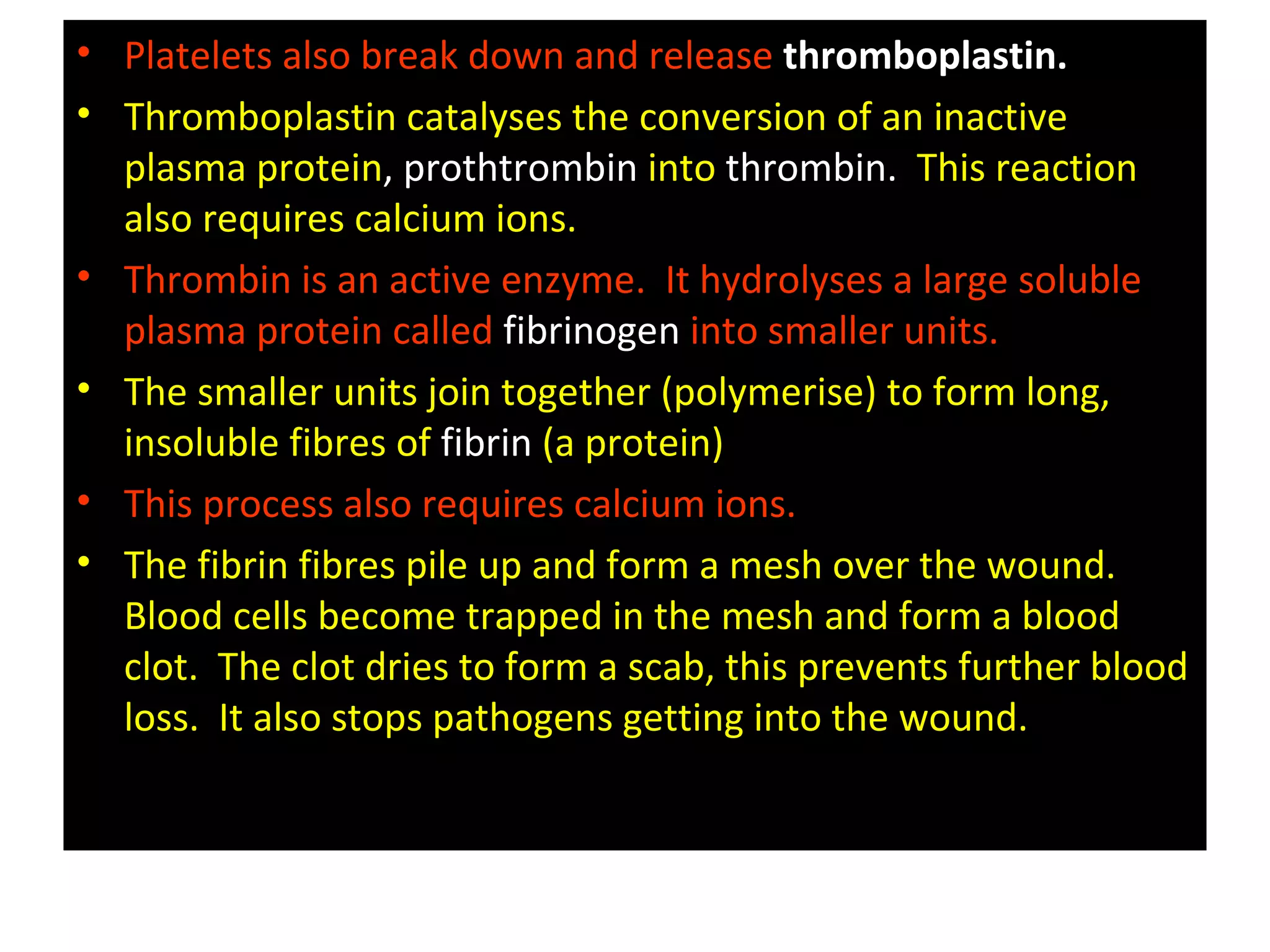 Blood clotting - AS OCR F221 | PPT | First Aid | Injuries