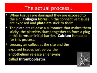 Blood clotting - AS OCR F221 | PPT | First Aid | Injuries