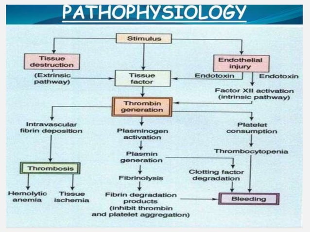 Clotting Disorders.pptx